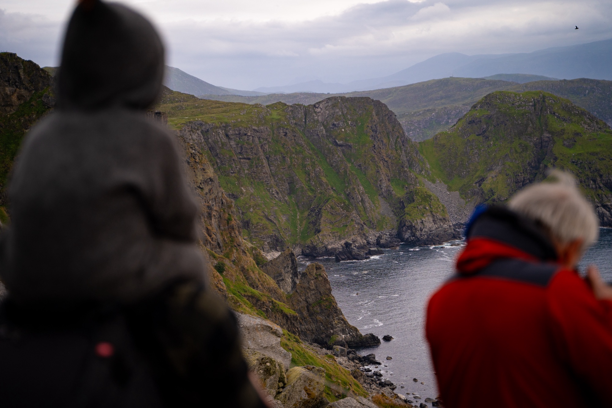 How To See Puffins in Norway – Annalise Adventuring